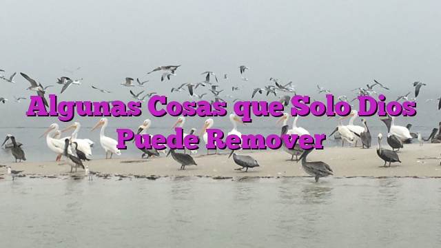 Algunas Cosas que Solo Dios Puede Remover - Dial Hope